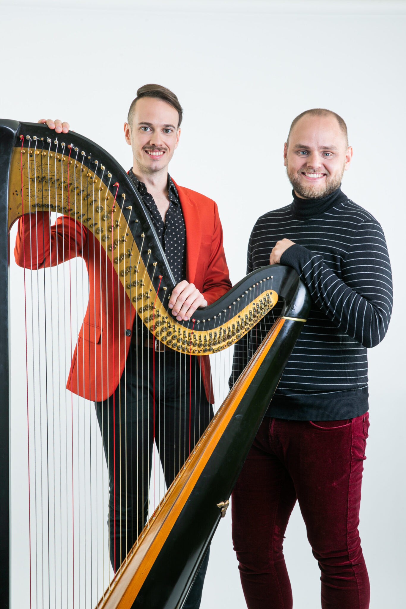 Voices Of The Harp : A Musical And Poetic Journey With Matt Dupont And ...