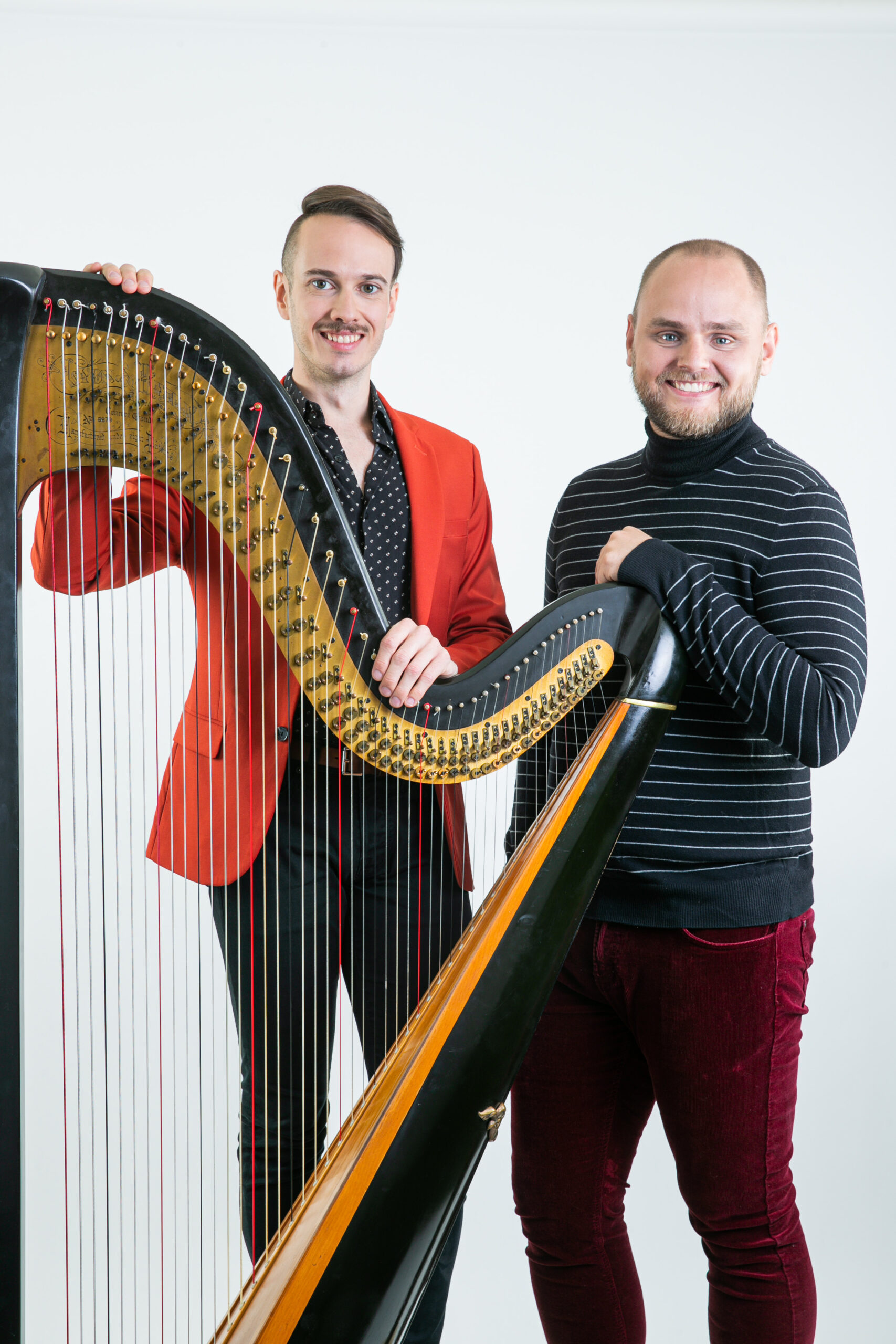 Voices Of The Harp : A Musical And Poetic Journey With Matt Dupont And ...